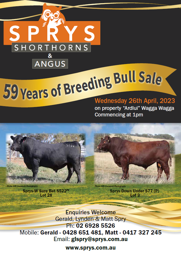 BULL & GENETICS SALE - Sprys Angus